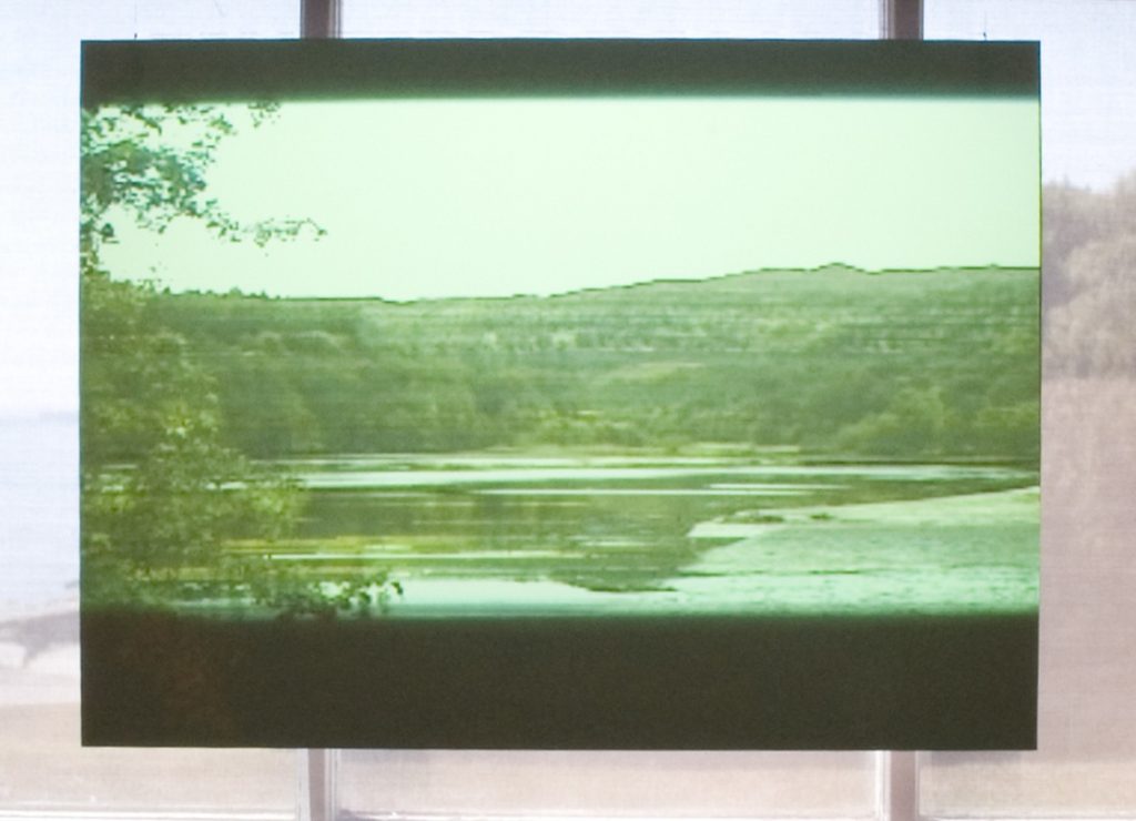 Susan Collins – Artist