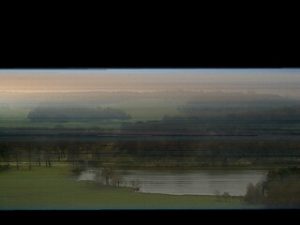 Susan Collins – Artist