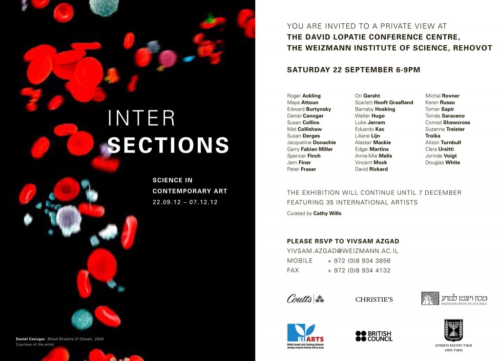 Susan Collins – Artist